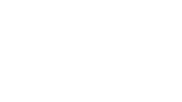 logo - BSP CLOTHING